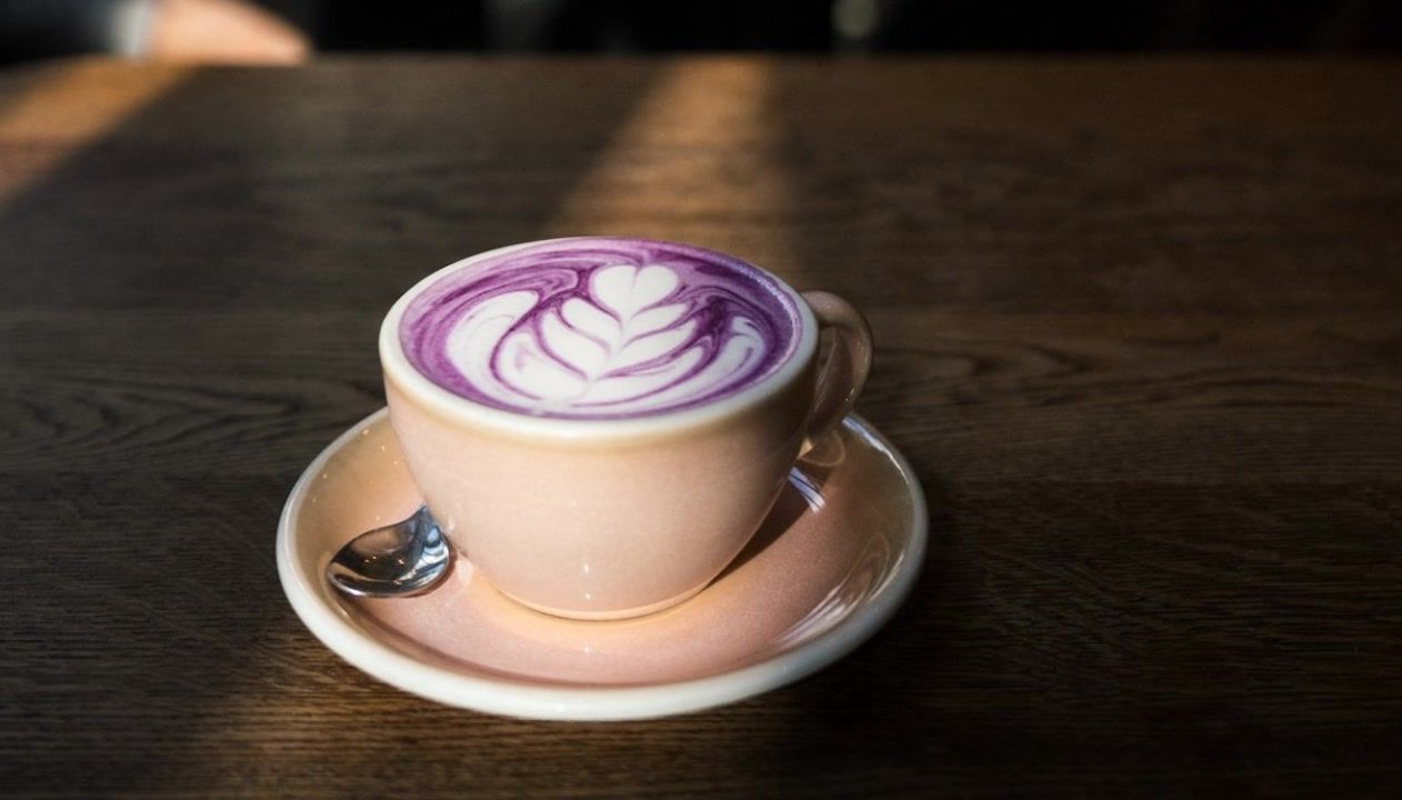 Decaf’s placebo effect may change caffeine withdrawal treatment — what ...