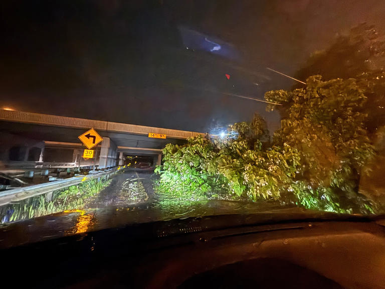 Eastbound I-96 ramp reopens after downed tree in Ingham County