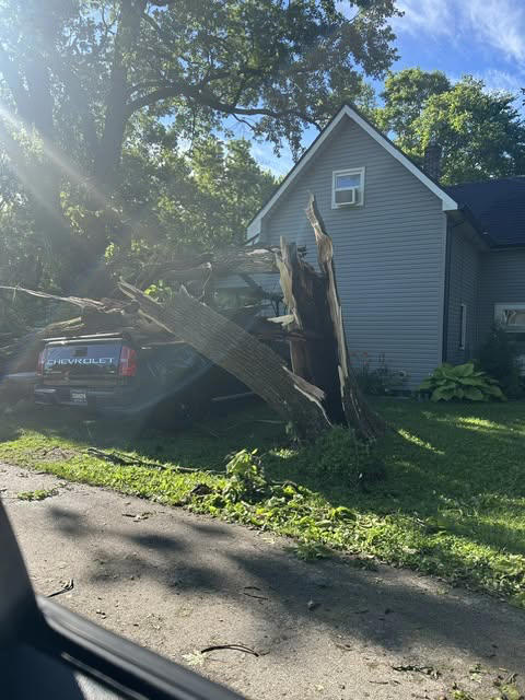 Strong storms down trees, power lines across Indiana