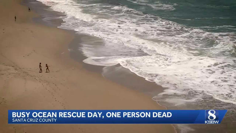 Panther Beach rescue turns tragic as lifeguards warn of dangerous ocean ...