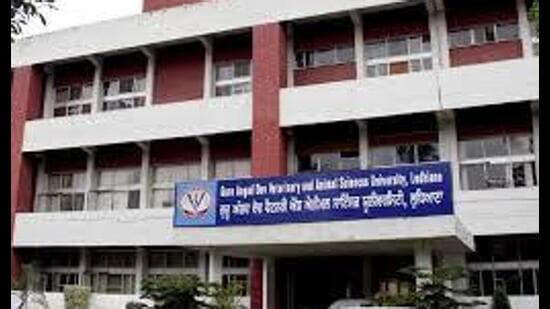Ludhiana: Vet varsity gets over ₹1-cr grant for mobile feed, milk ...