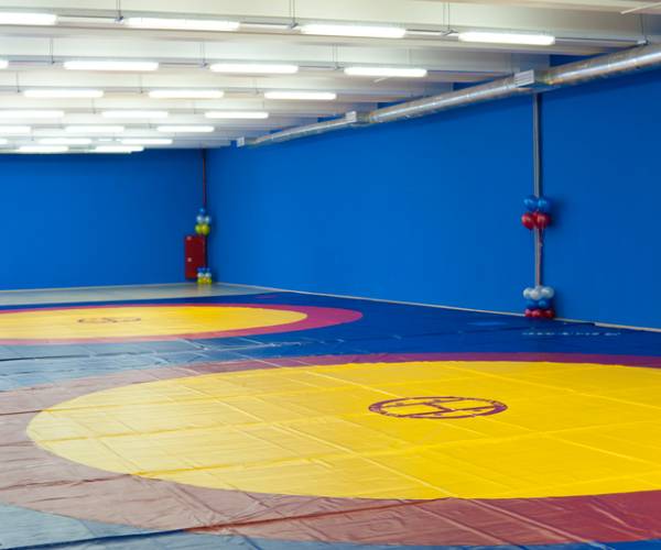 Teen wrestler alleges assault by trans opponent