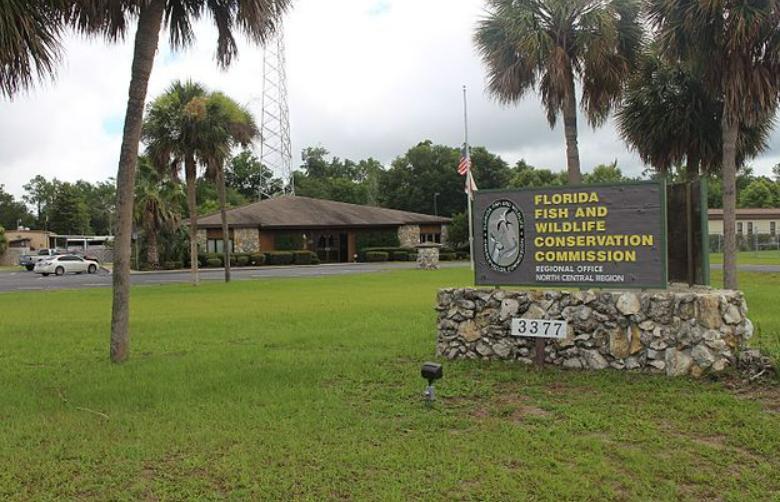 ICE expands Florida partnerships, adding Fish and Wildlife Commission ...