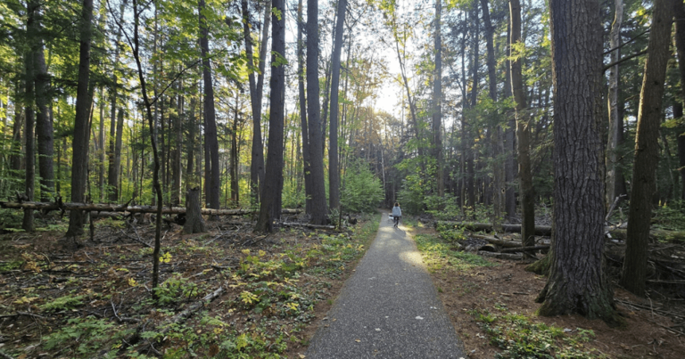 This town near Hartwick Pines State Park is worth the trip