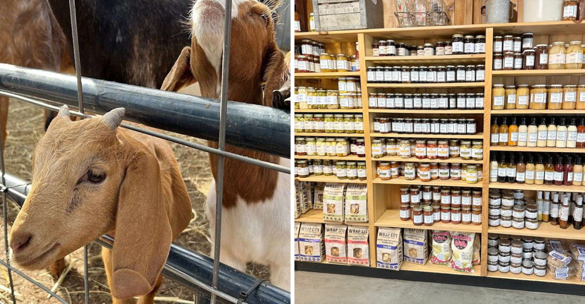 This country market in New Hampshire draws crowds for its homemade ...