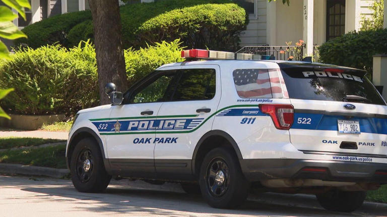 Oak Park townhouse development vandalized with antisemitic message