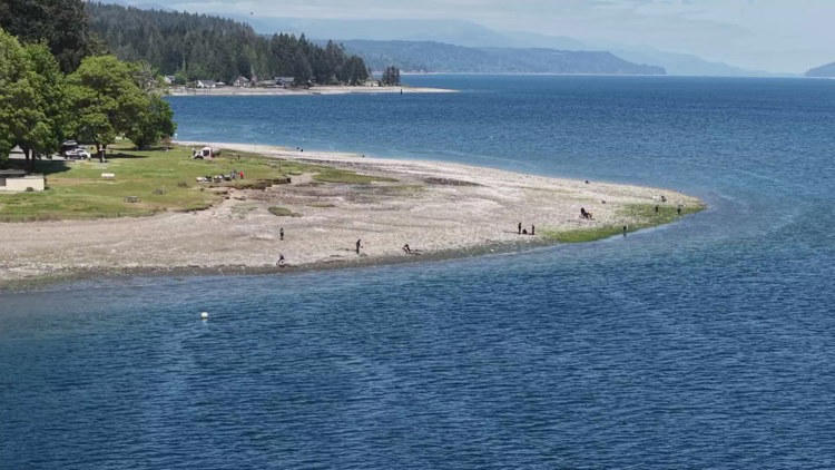Recreational shellfish harvesting closed in Hood Canal due to deadly ...