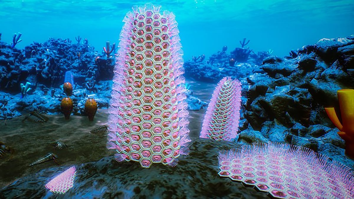 Extraordinary fossils solve a 500-million-year evolution mystery