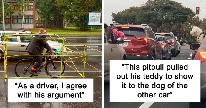 49 photos of strange, funny, and interesting things seen on the road