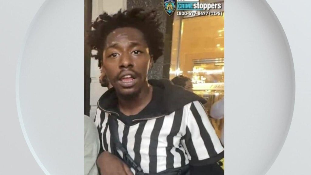 Fight in Knicks post-game chaos put teen in coma, multiple suspects ...