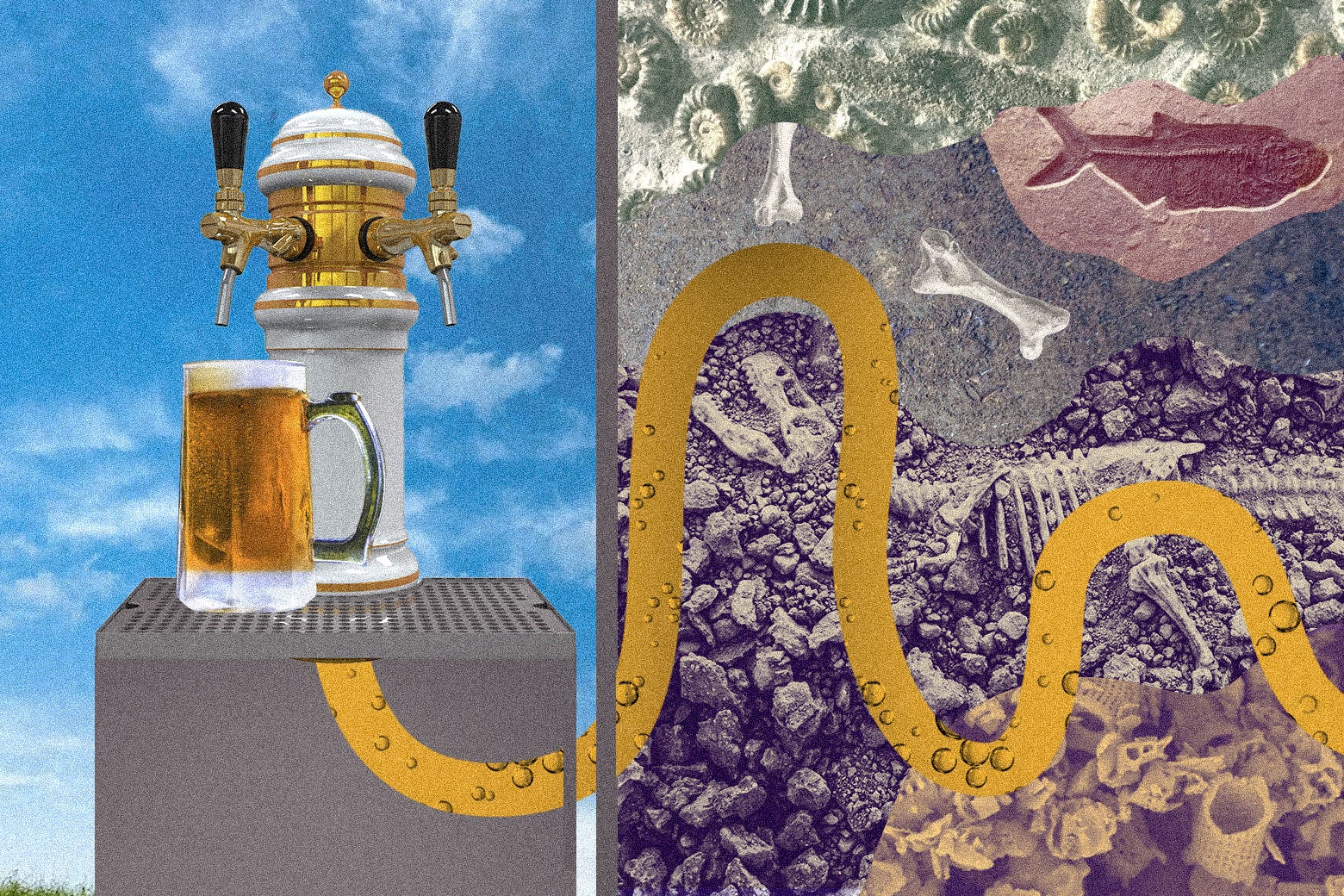 That crisp, clean beer you love has long depended on a strange, very ...