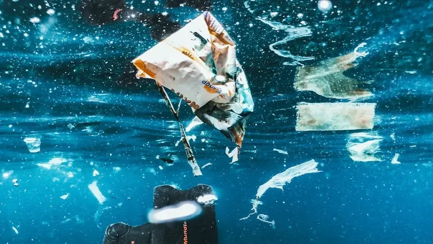 5 facts about the "plastisphere" - the new microscopic ecosystems ...
