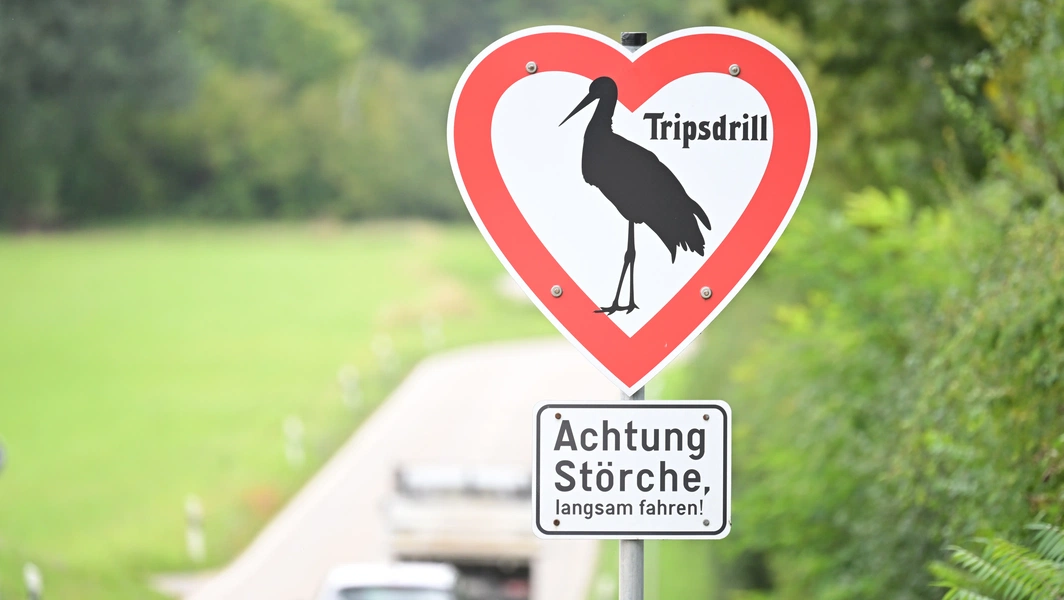 12 unusual and quirky road signs explained