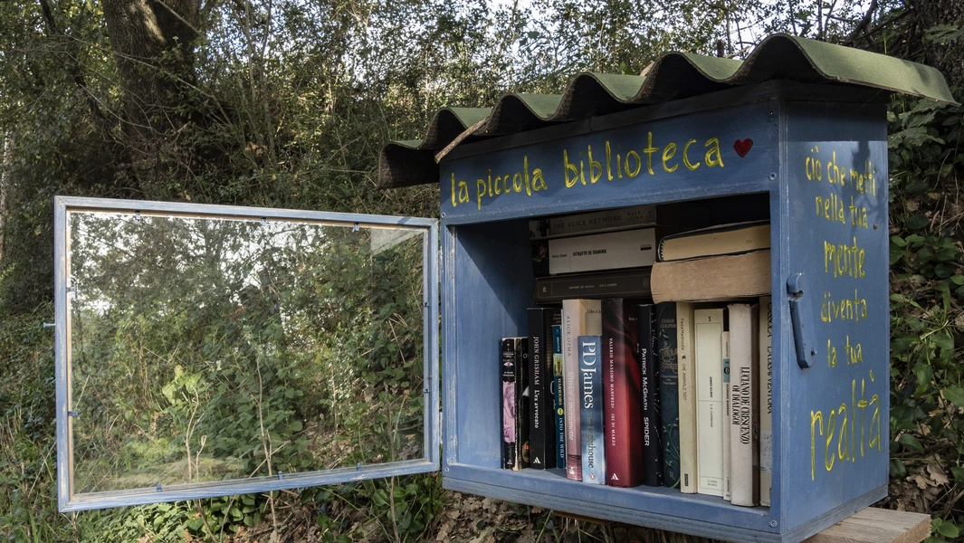 6 creative and unusual library ideas