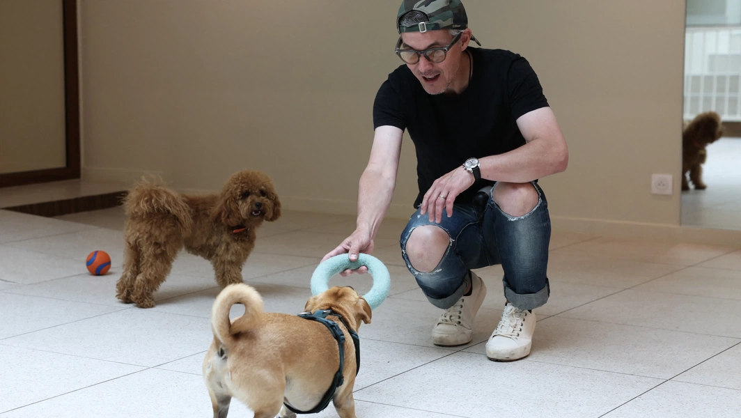 Understanding canine behavior and owner influence