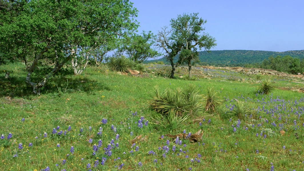 9 scenic drives showcasing Texas landscapes