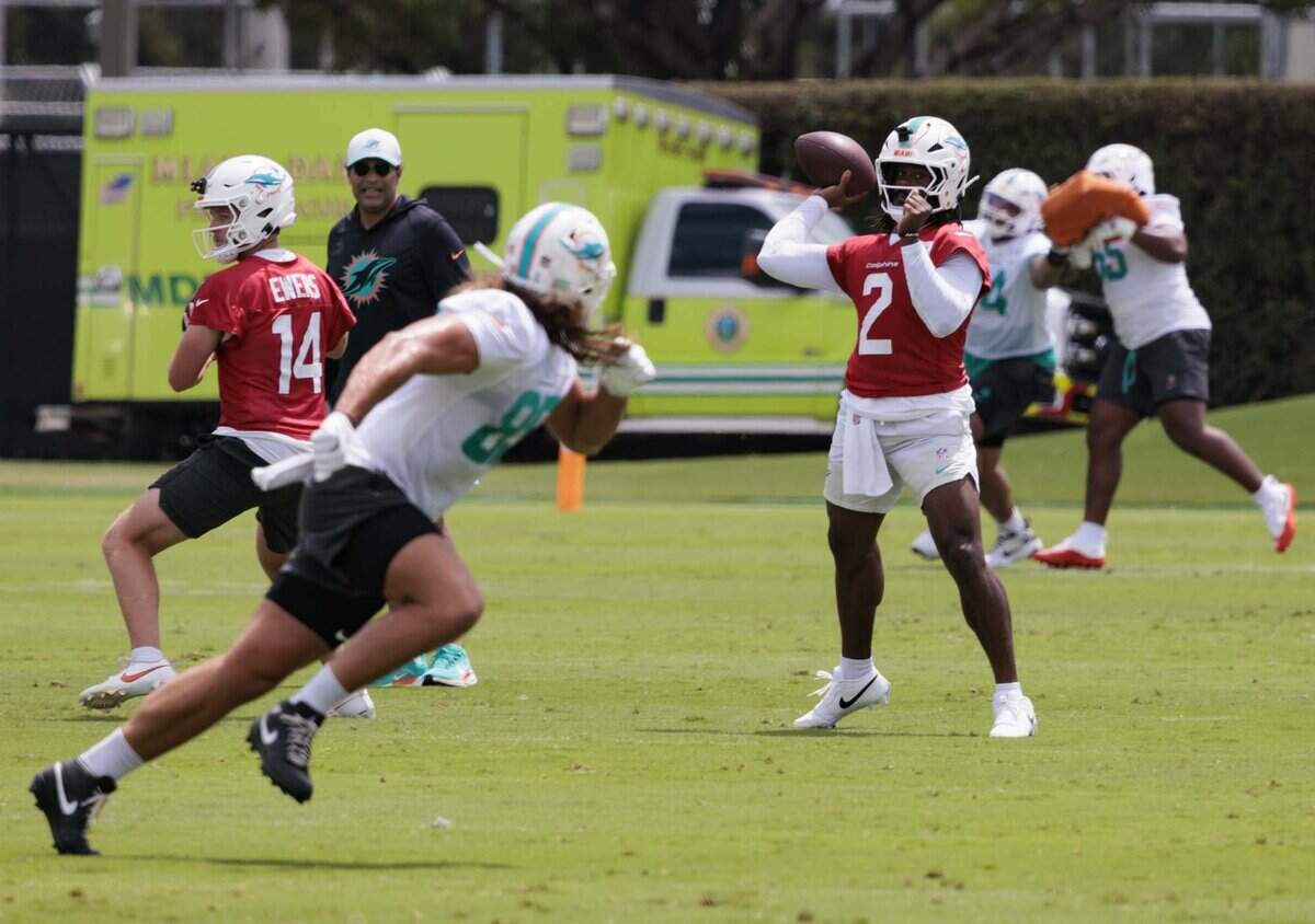 Kelly: Handing out the Dolphins' 2026 offseason superlatives