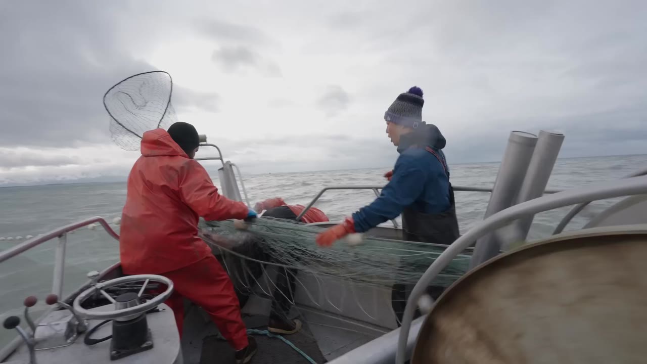 Why fishermen risk it all for rare Copper River kings