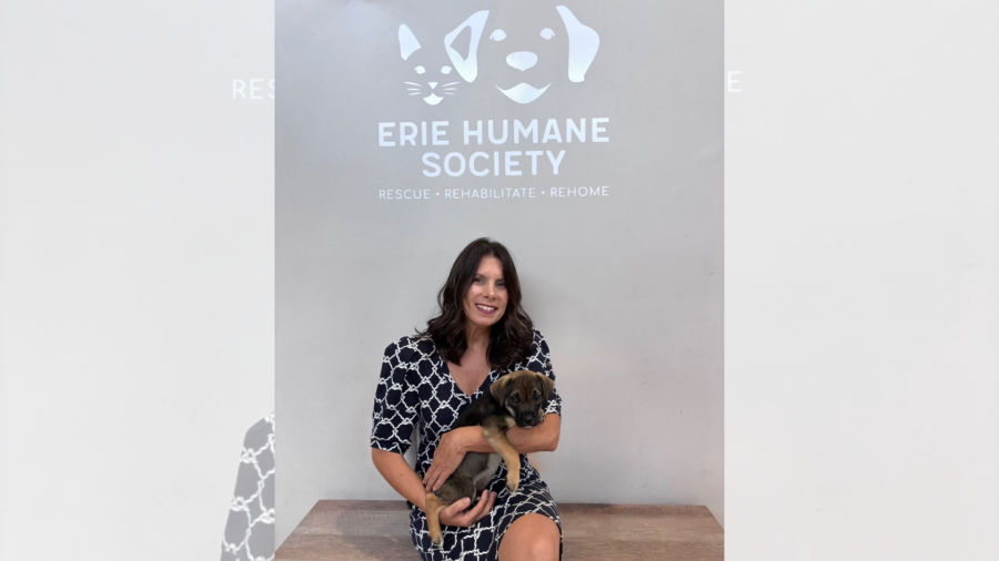 Erie Humane Society announces new executive director