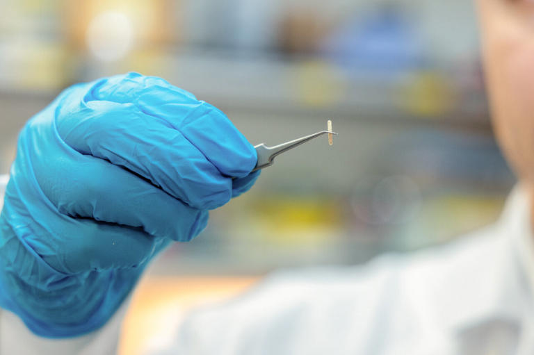 Researchers develop injectable device to control nerves without surgery