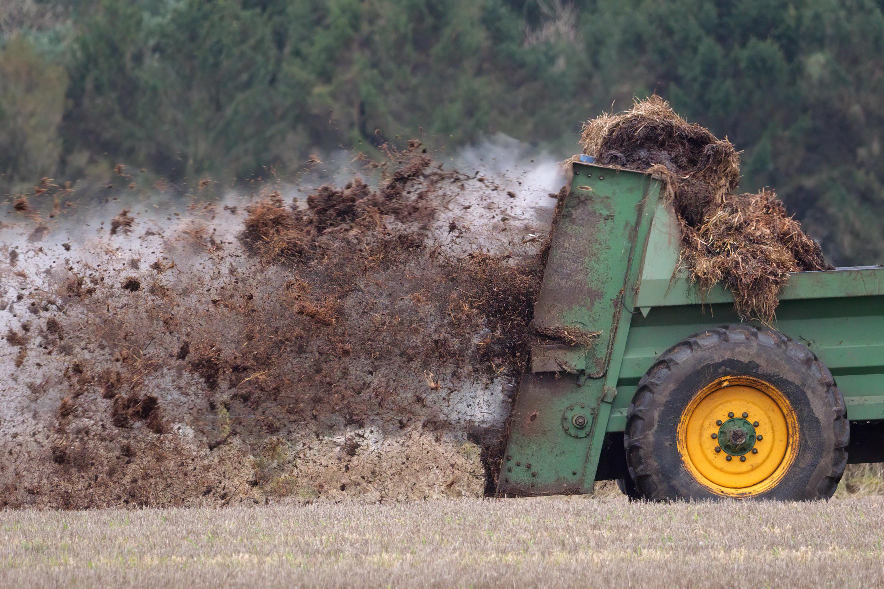 Judge upholds restrictions on factory farms' winter manure spreading