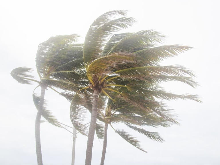 NHC Tracking First Tropical System Of Atlantic Hurricane Season: What ...