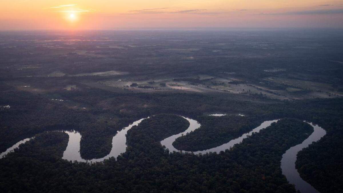 Forestry Commission lawyer picked to run SC land protection agency