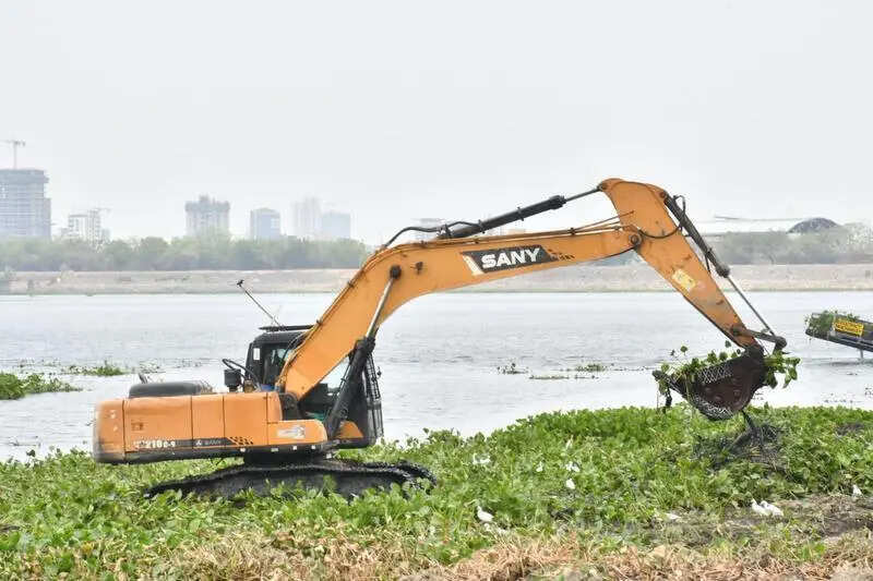 80,000 tonnes of water hyacinth removed from Ambazari Lake
