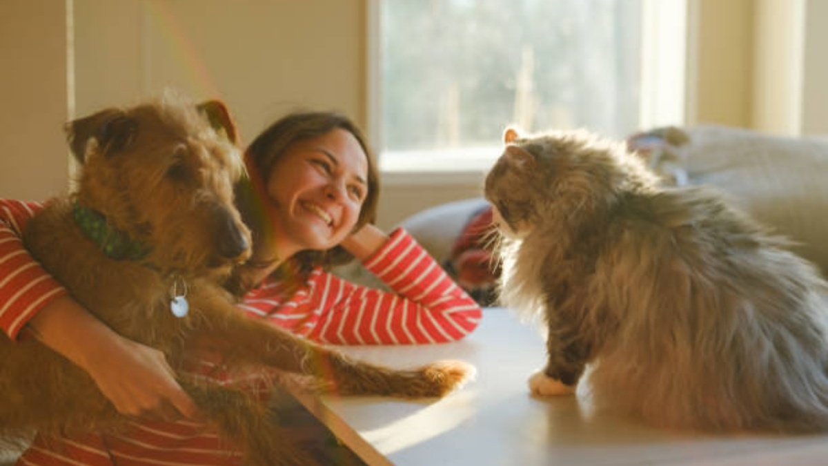 Your Dog or Cat Understands More Than You ThinkThese Words Are ...