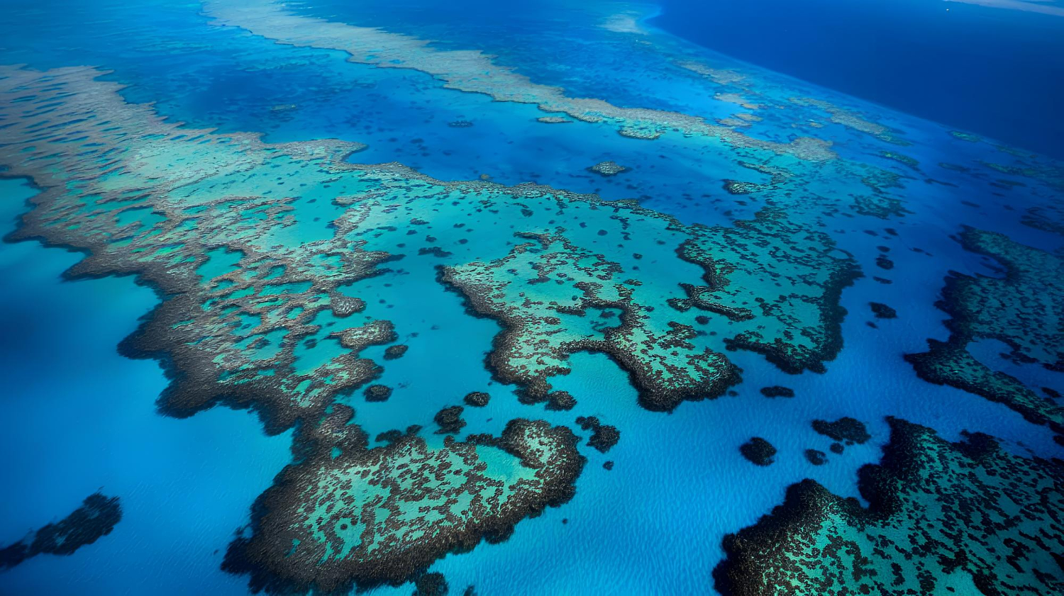 The remarkable places on Earth worth seeing while you still can