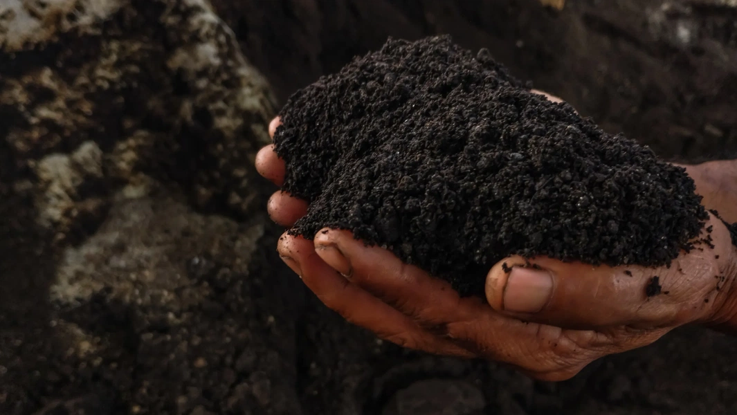 Restoring soil health with regenerative farming practices