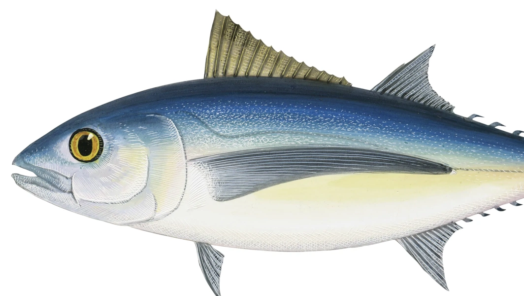 6 canned tuna choices high in sodium, fat, or mercury