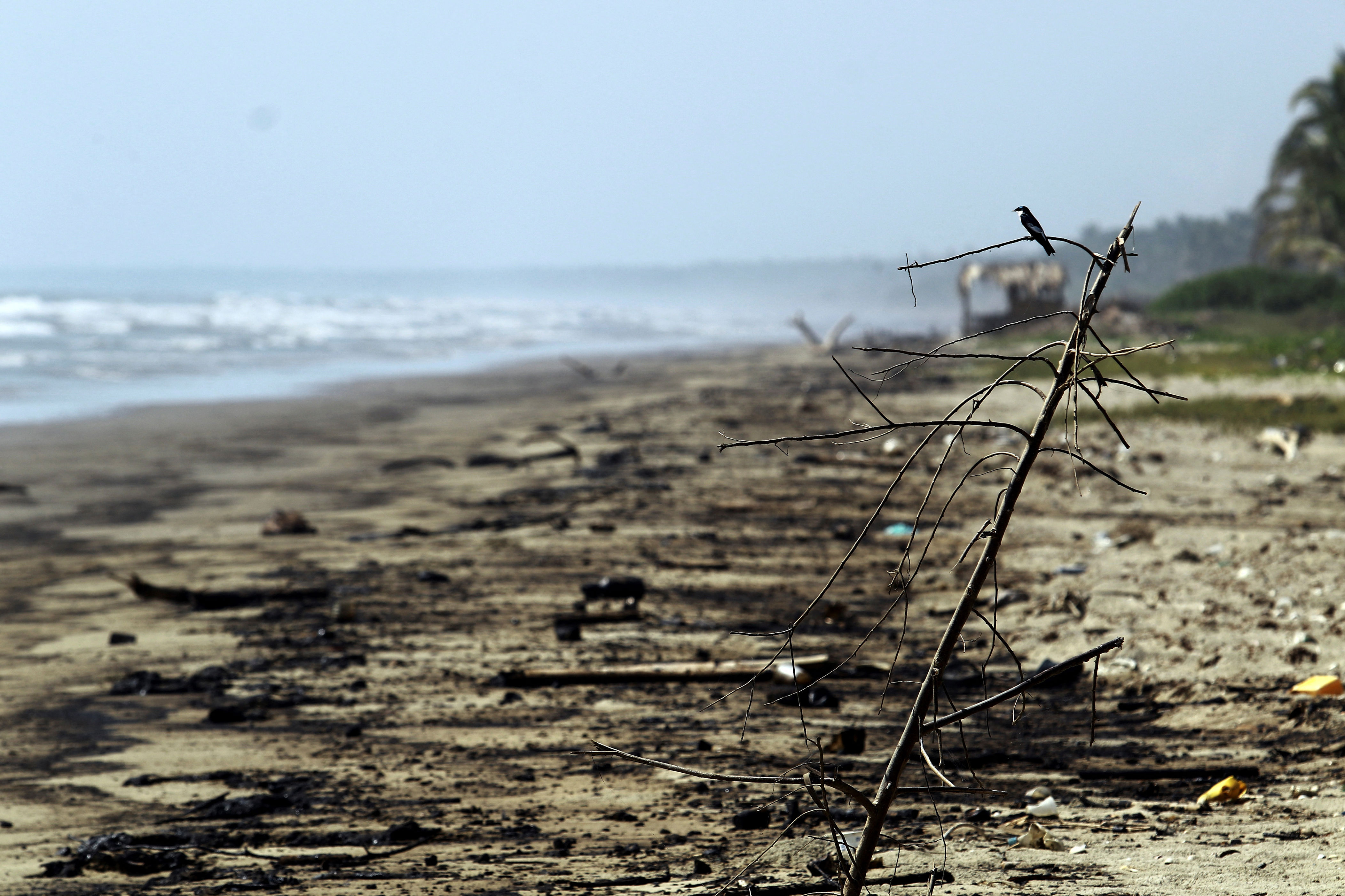 Venezuela hits out at Trinidad and Tobago in oil spill spat