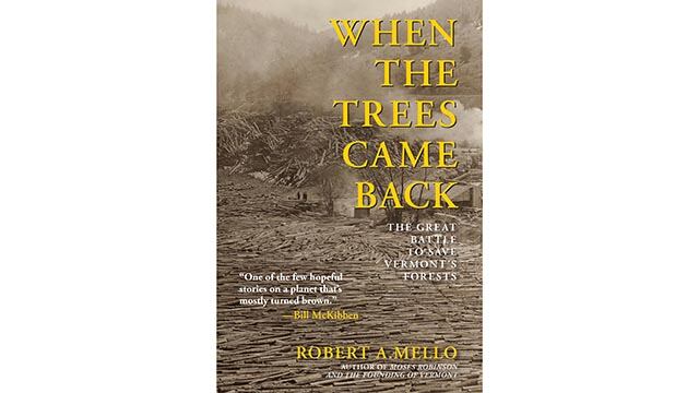 New book revisits Vermont’s great forest comeback
