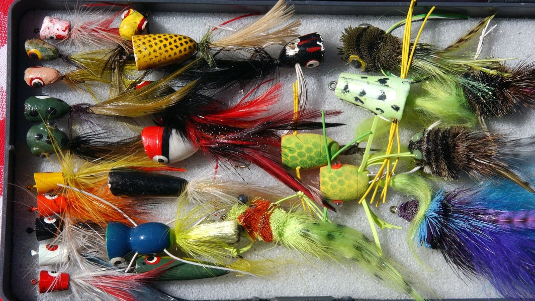5 proven lures for successful bass fishing