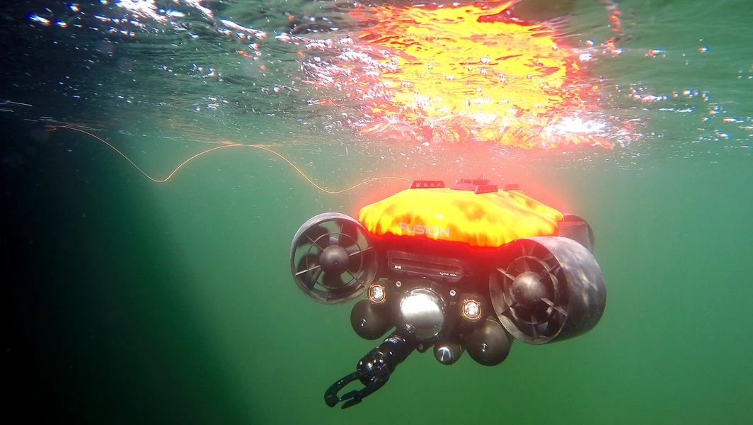 14 extraordinary animals with unusual adaptations