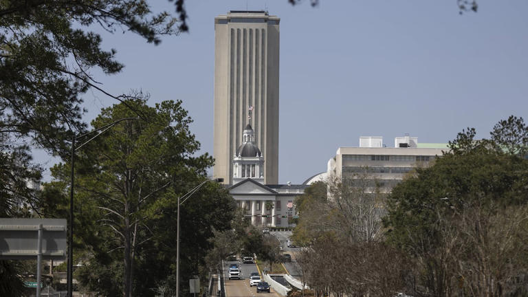 Here’s who wants to represent Tampa Bay in Legislature, Cabinet primaries