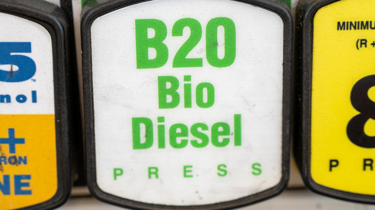 Green biofuels could save the day if oil supplies remain disrupted (and ...