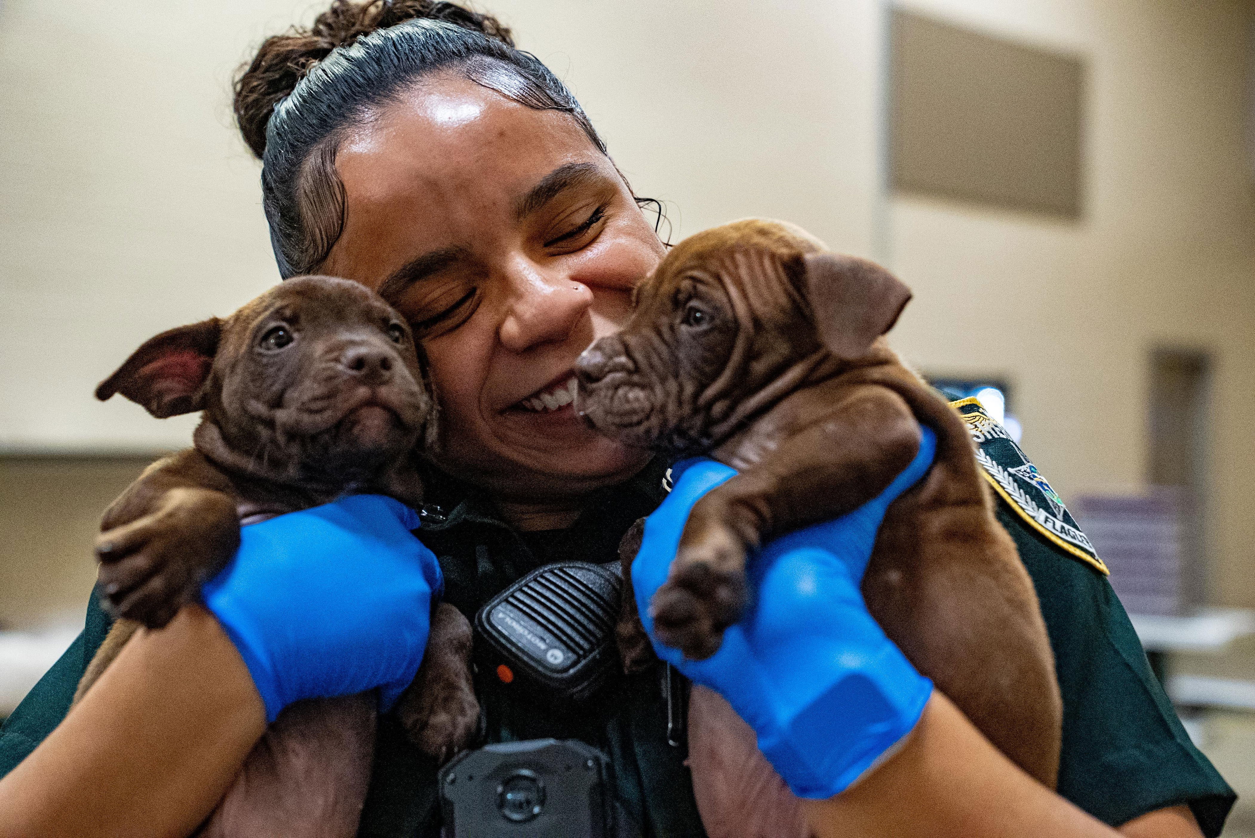 Inmates foster puppies and kittens in innovative Florida program
