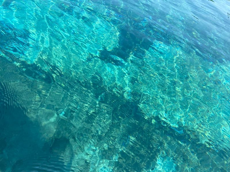 This spring-fed Oregon lake has water so clear you can see the bottom ...