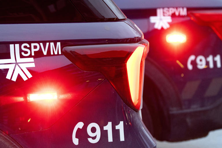 Montreal police search for driver after pedestrian left unconscious in ...