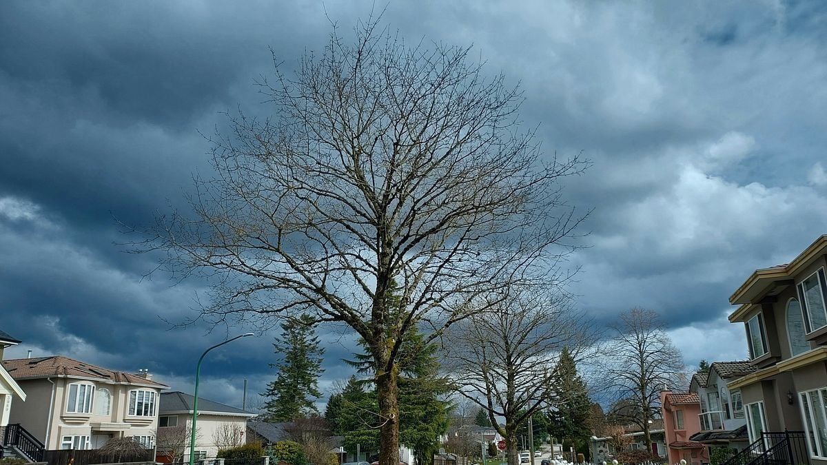 Illinois quick hits: Surveys continue after tornadoes, severe weather