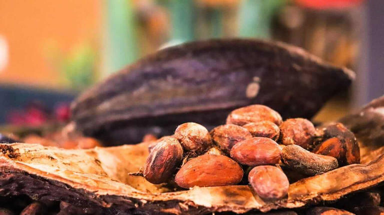Cocoa prices rally going into the weekend