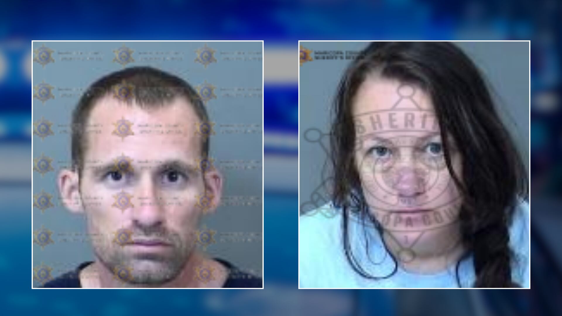 Couple indicted in string of retail thefts at home improvement stores ...