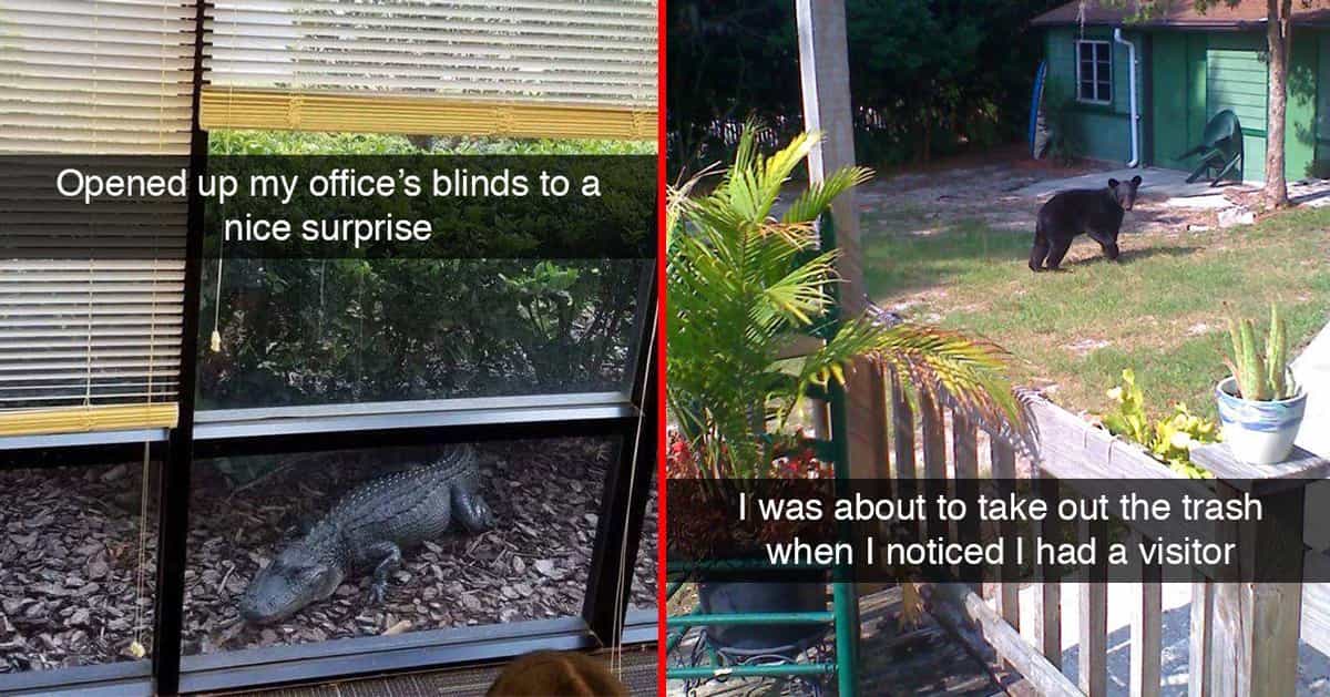 Terrifying photos of nature in Florida