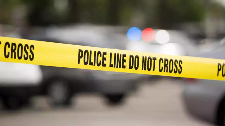 Pune TCS employee hangs himself, blames three people, including two ...