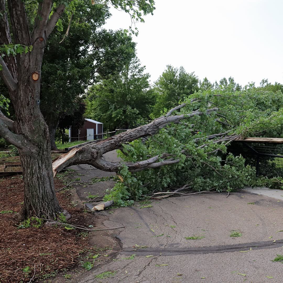 Rolling Hills Zoo in Salina reopens after storm damage, power outage