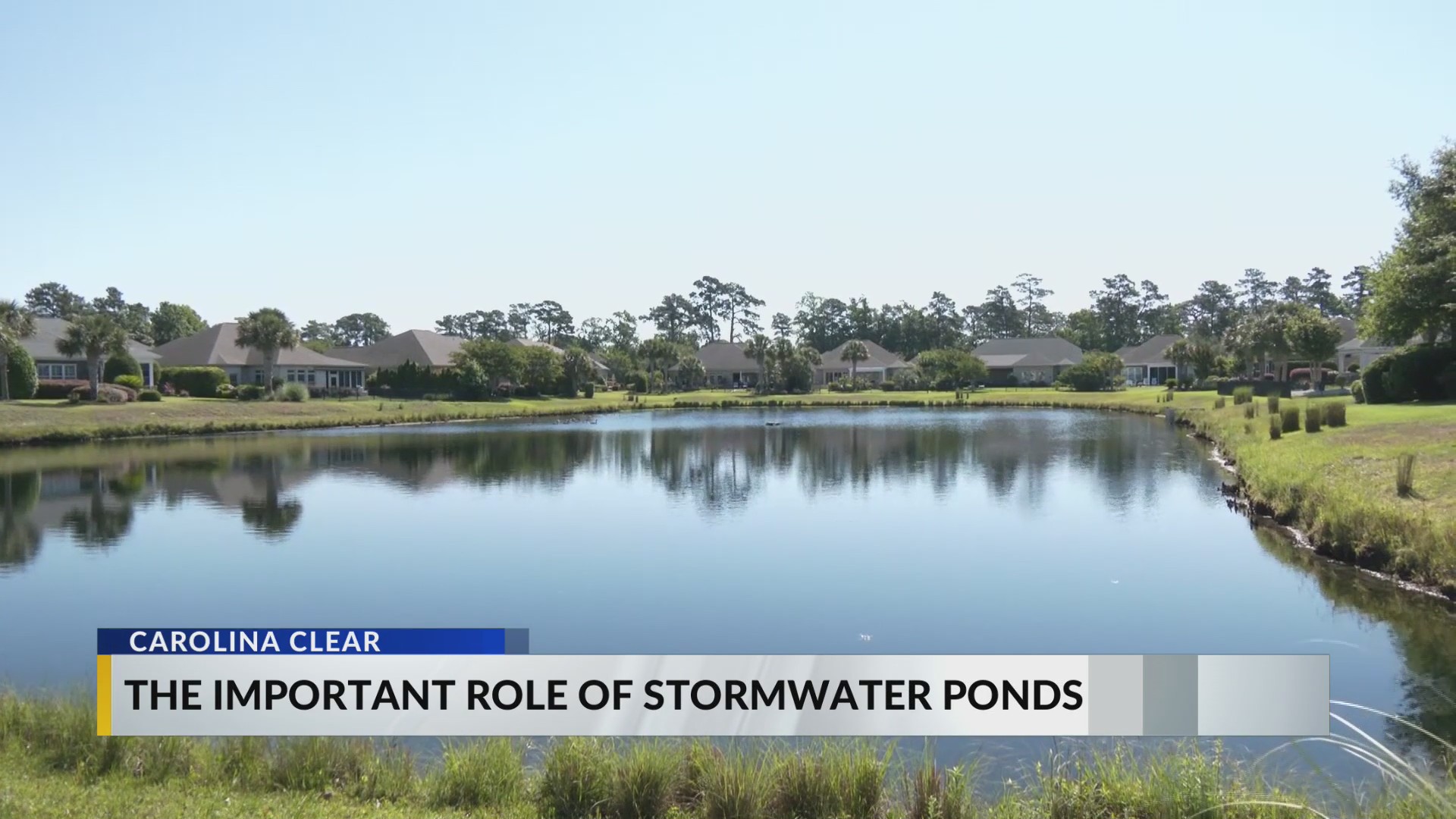 The important role of stormwater ponds