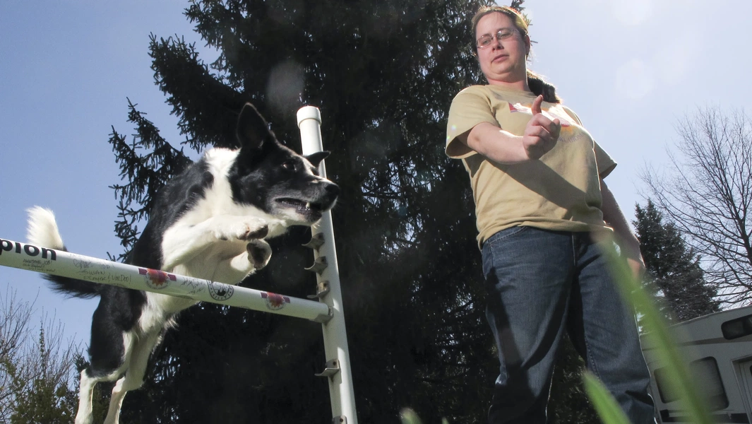 Building a happier dog-human bond