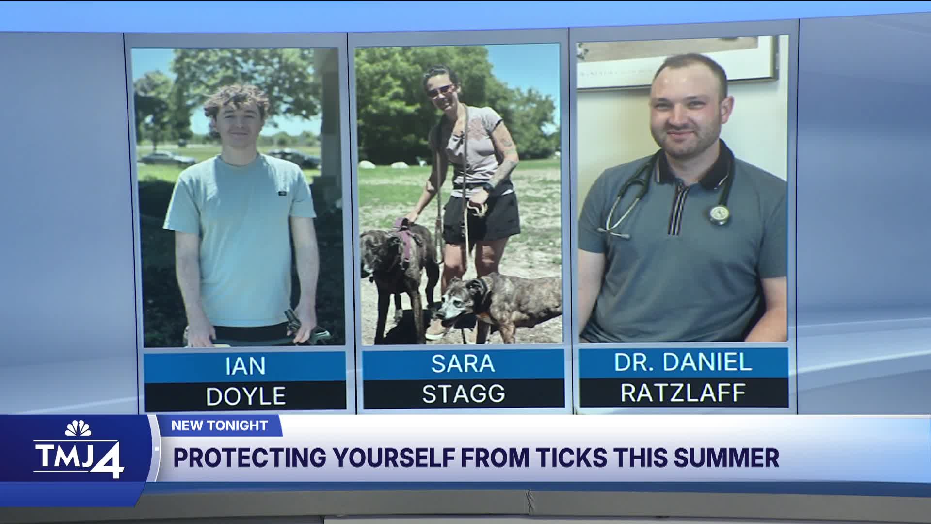 More tiny ticks, more risk: Wisconsin residents urged to check ...
